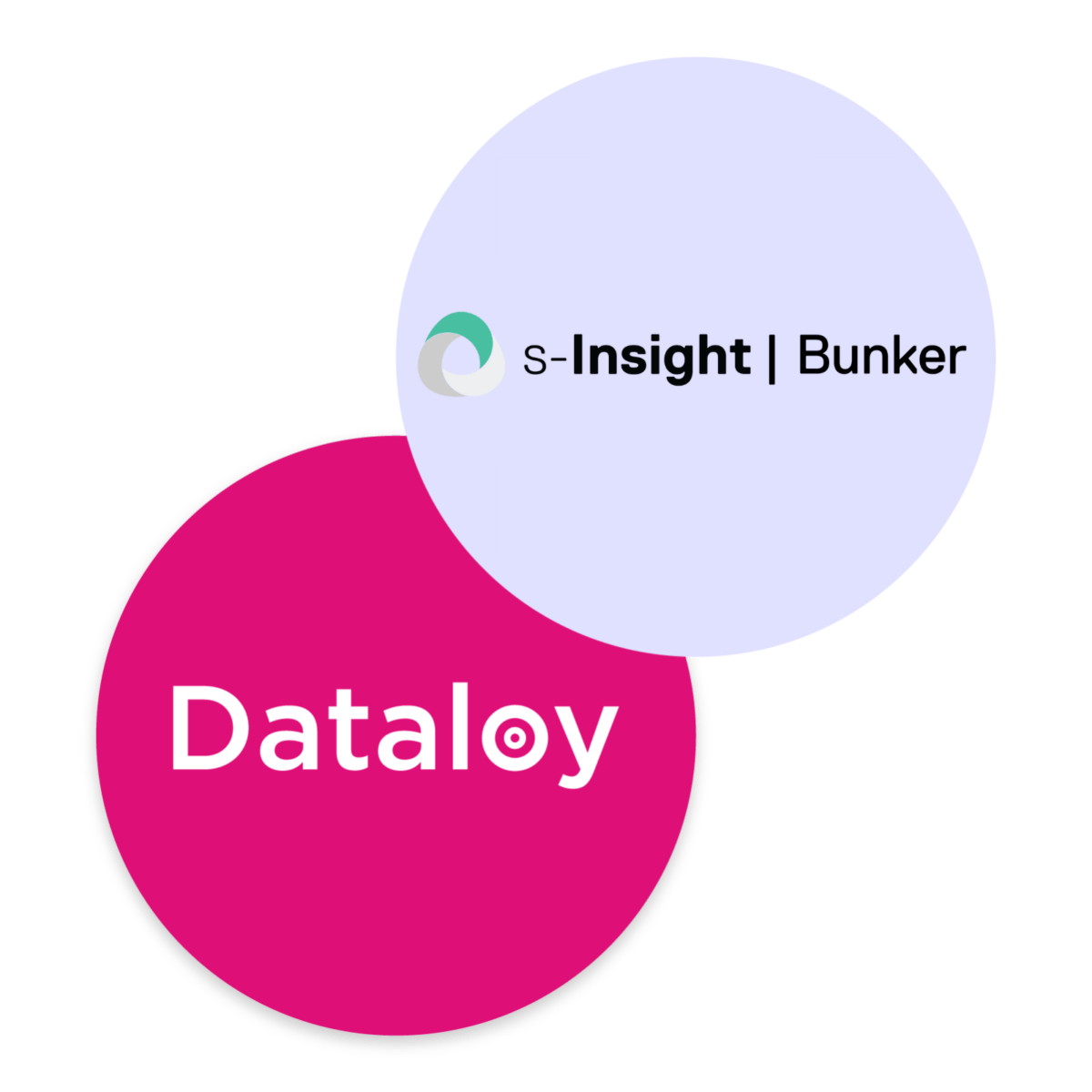 s-Insight| Bunker partner profile - Dataloy Systems